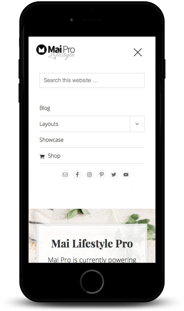Standard drop down mobile menu